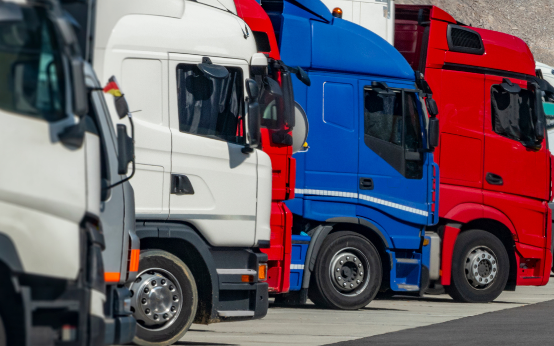 Transporturile de bunuri cu risc fiscal ridicat | sistemul RO